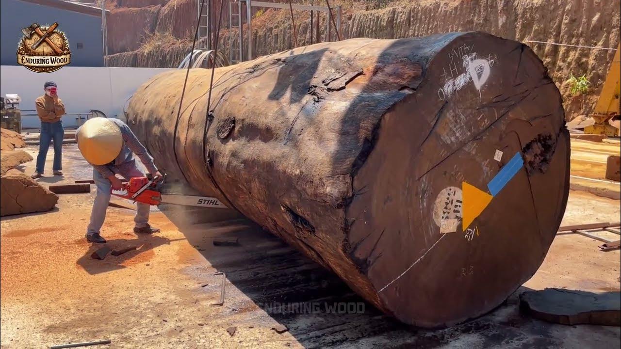 Inside Massive Timber Processing | Giant Logs, Powerful Machines - Tecatool